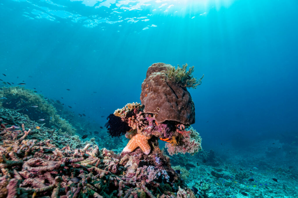 Gallery - Kusu Island Resort