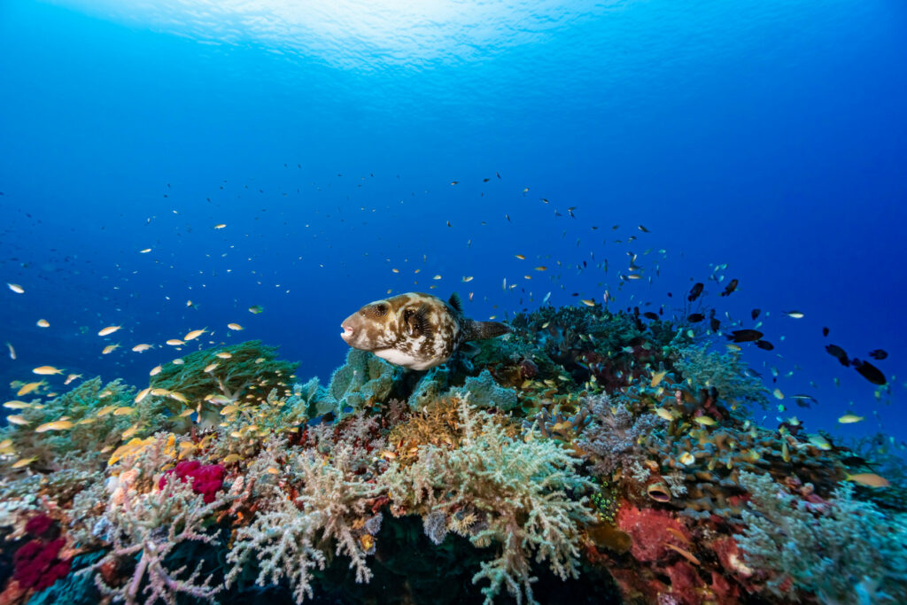 Gallery - Kusu Island Resort