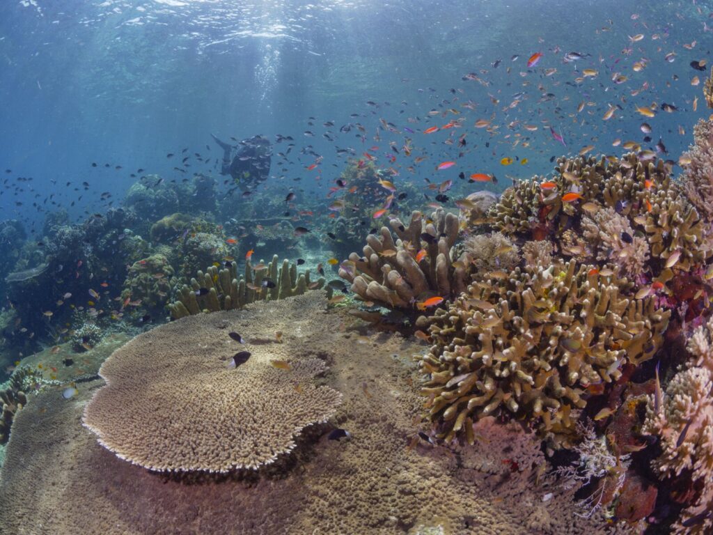 Gallery - Kusu Island Resort