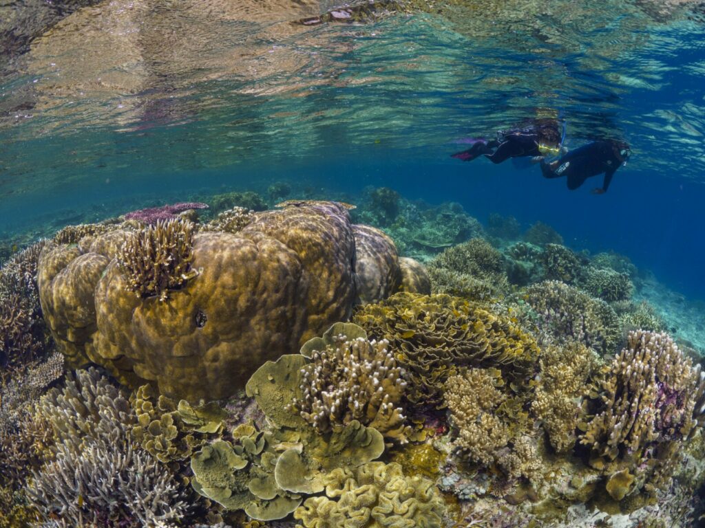 Gallery - Kusu Island Resort