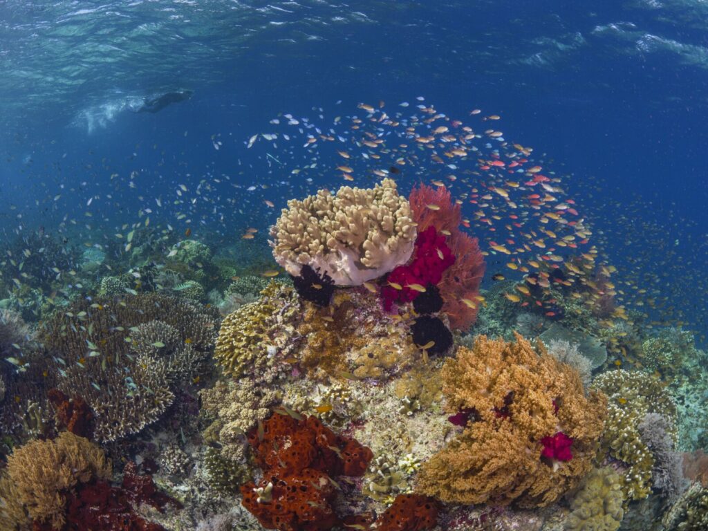 Gallery - Kusu Island Resort